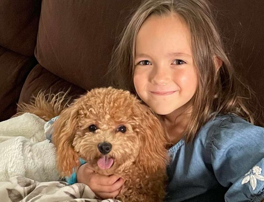 Cavapoo Colors: A Simple Guide to Their Beautiful Variety