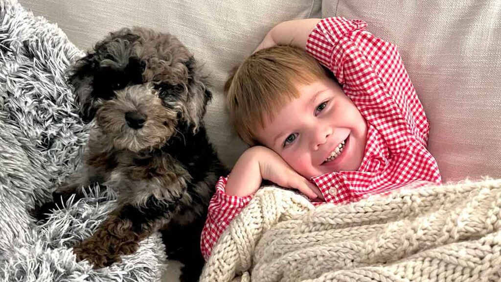 Cavapoo Generations: What Do F1, F1B, and F2 Mean?